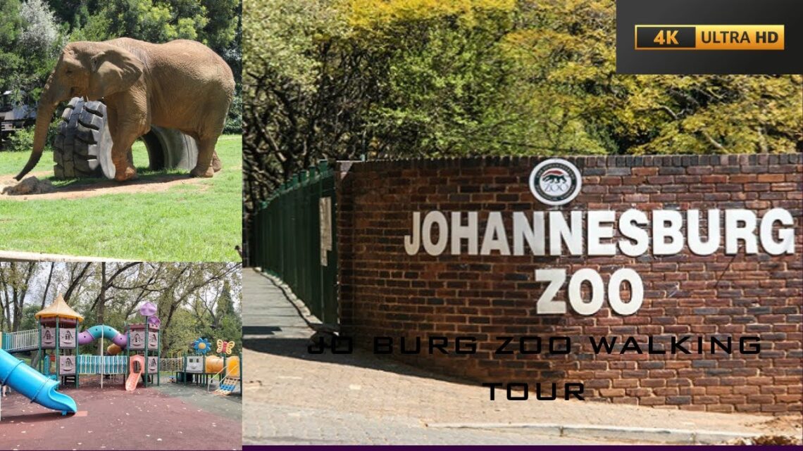Joburg Zoo: Everything you need to know - Mynewsroom