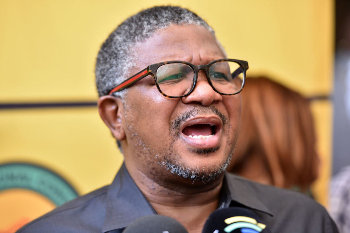 Fikile Mbalula | Biography, Age, Wife, Children, Secretary General of ...