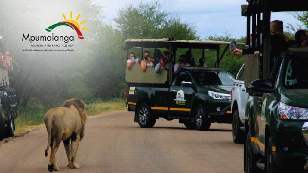 How to apply for Mpumalanga Tourism and Parks Agency Internships 2024/ ...