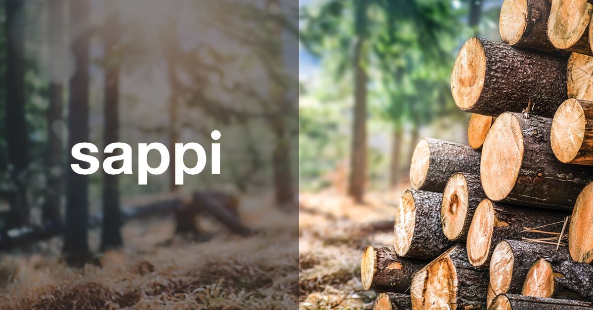 How to Apply for the Sappi Bursary 2025 - Mynewsroom