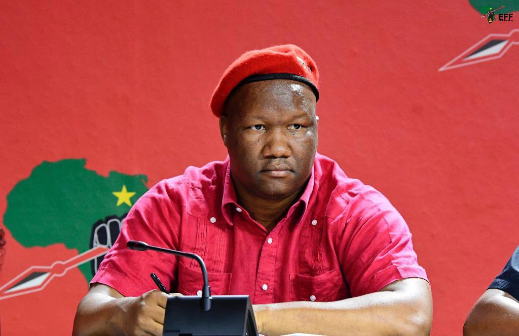 Marshall Dlamini | Biography, Age, Children, Qualifications, EFF ...